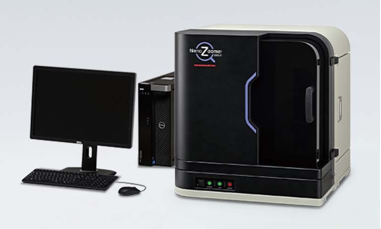 Whole Slide Imaging - WSI | Hamamatsu Photonics