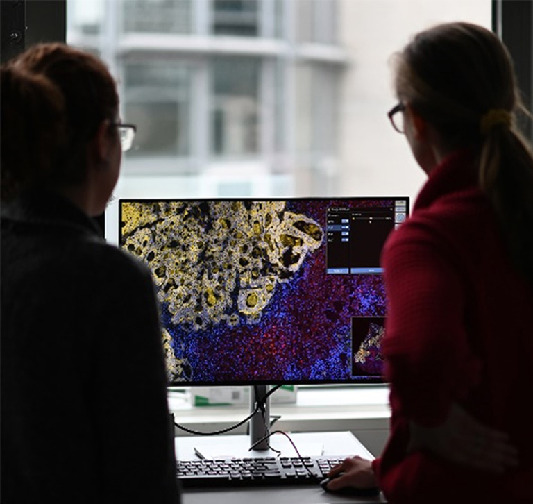 Eagle view multiplex scanning: unveiling cellular interactions in tumor ...
